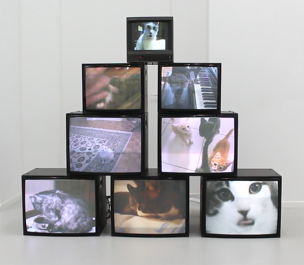 Faith Holland | Analog Internet IRL